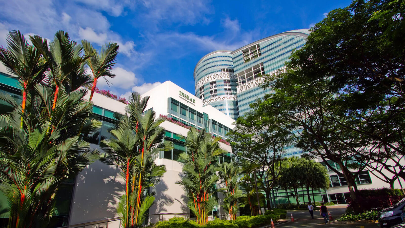 Road to INSEAD | InTheKnow