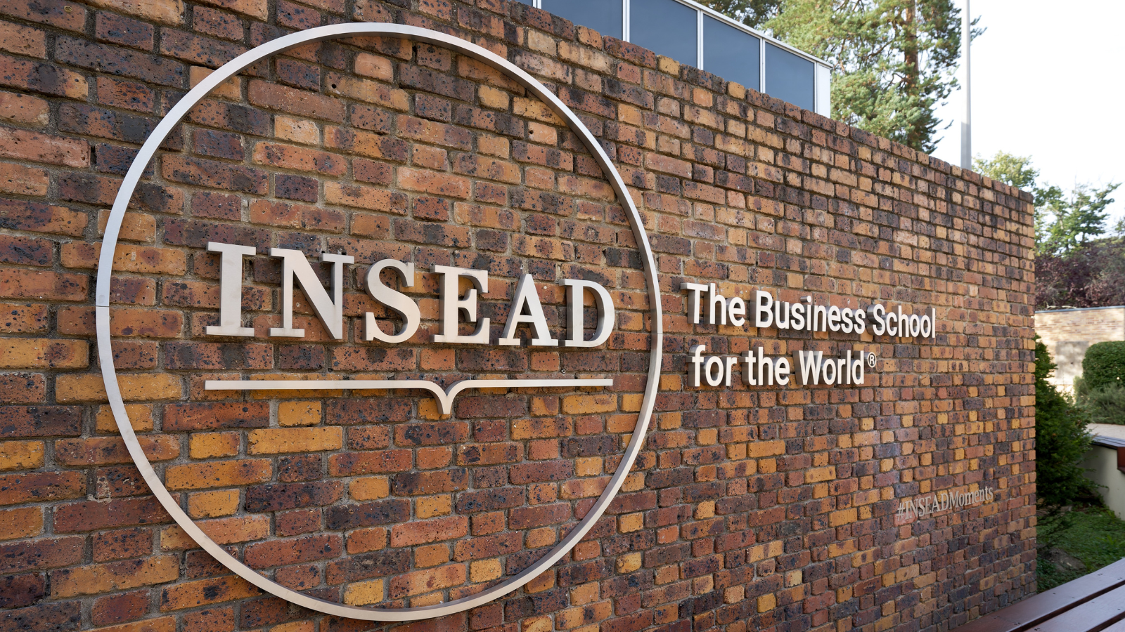 How Study Groups Can Become a Core Component of an Outstanding INSEAD ...